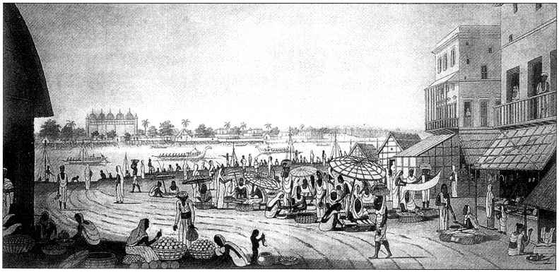 MCQ Questions for Class 8 History Chapter 3 Ruling the Countryside with ...