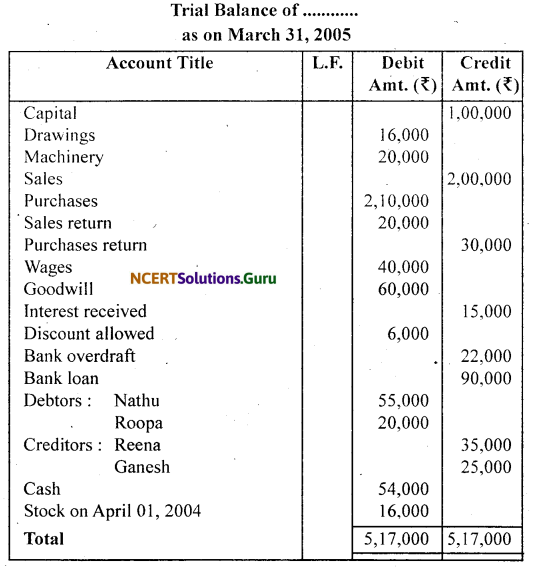 NCERT Solutions for Class 11 Accountancy Chapter 6 Trial Balance and ...