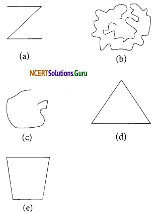 NCERT Solutions for Class 6 Maths Chapter 4 Basic Geometrical Ideas Ex ...