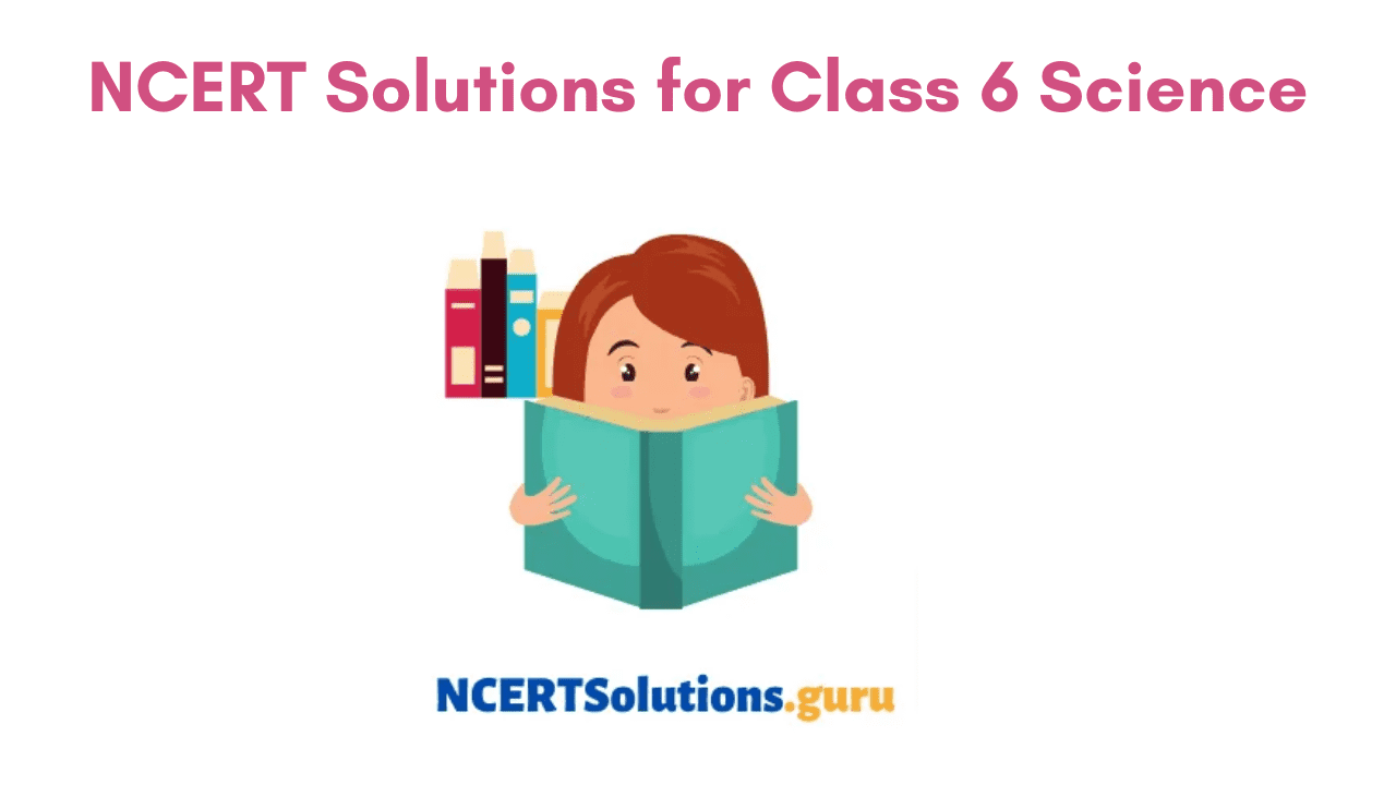 Chapterwise NCERT Solutions for Class 6 Science PDF Free Download