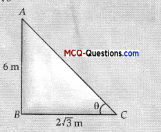MCQ Questions for Class 10 Maths Chapter 9 Some Applications of ...